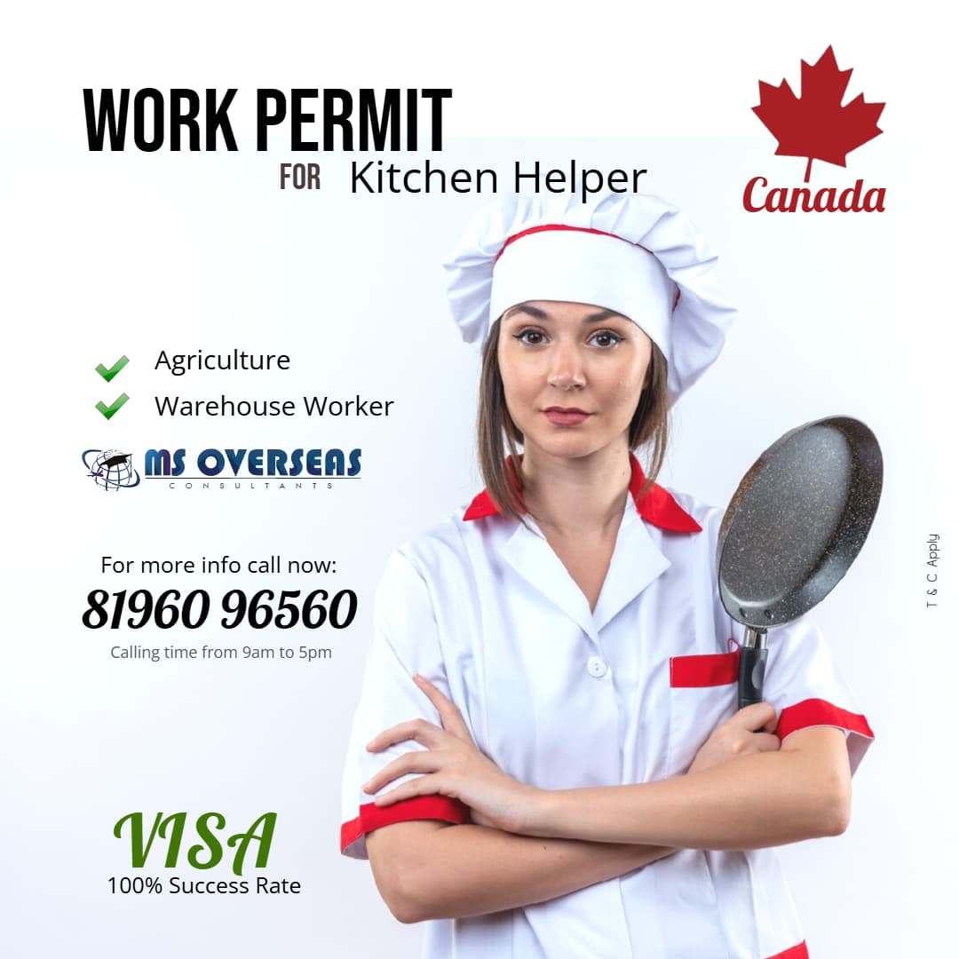 Canadian Work Permit Process: A Guide to Job Opportunities